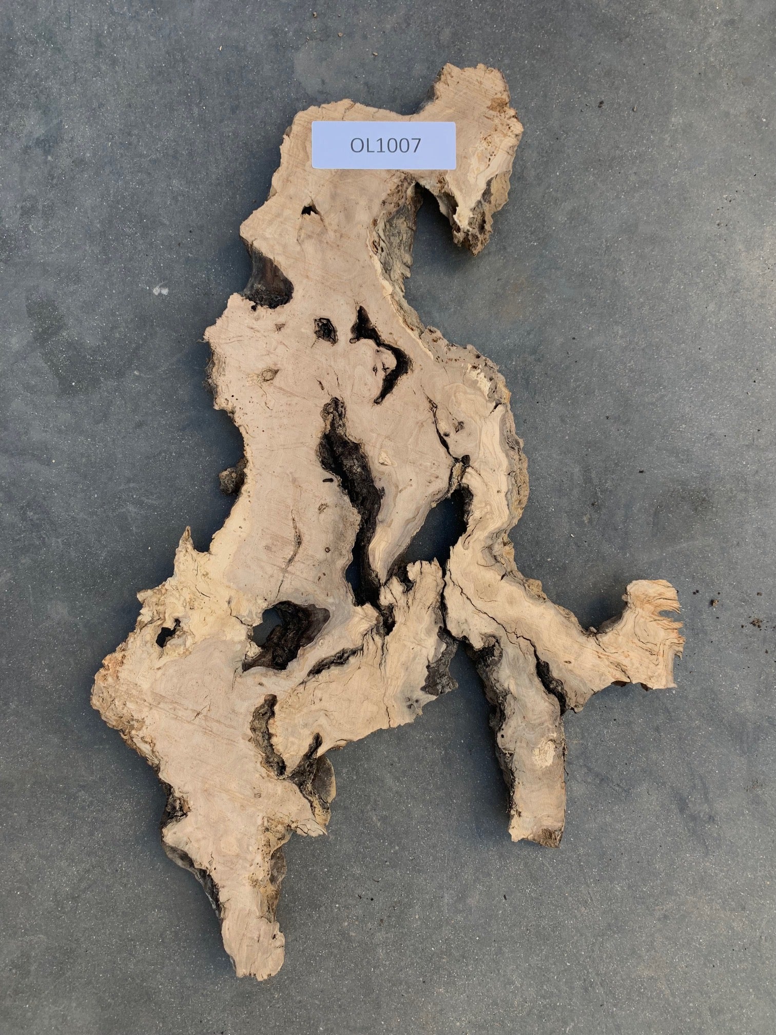 Mission Olive Live Edge Wood Slab – Timber Edge Lumber Products