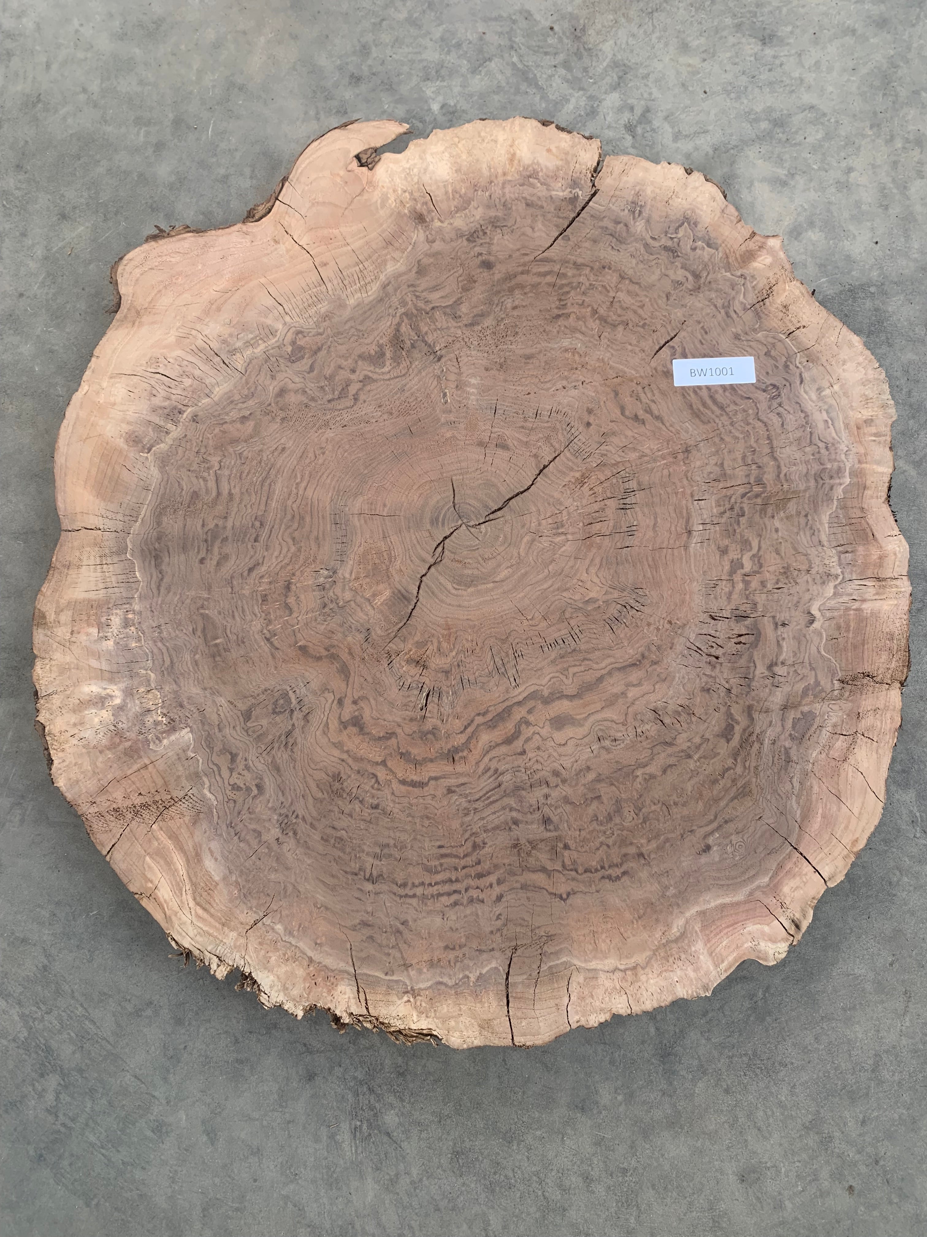 Large Live Edge Black Walnut Burl Slab – Timber Edge Lumber Products